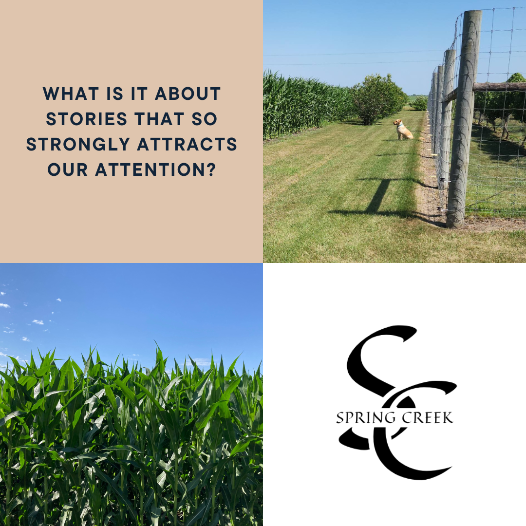 Why Storytelling Matters in Effective Communication – Spring Creek ...